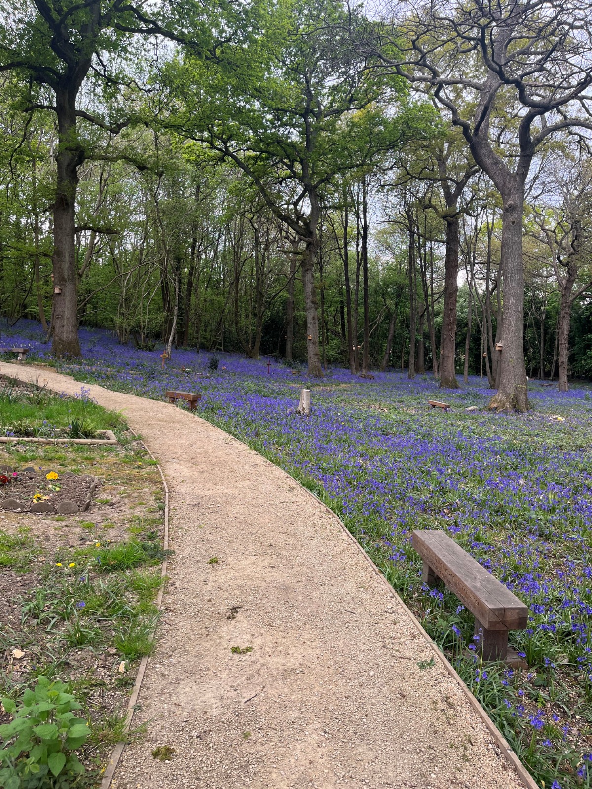 Gallery - Bluebell Cemetery